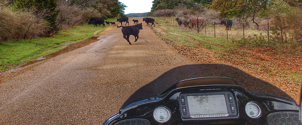 A Winter Weekend in Texas Hill Country - Cycle Trader Blog